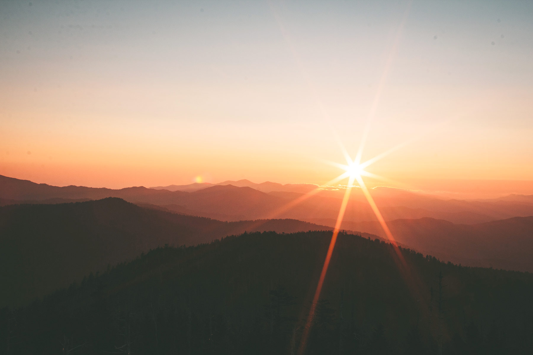 Transform to Net Zero | Collaborations | Sustainable Business Network ... Transform to Net Zero | Collaborations | Sustainable Business Network ...