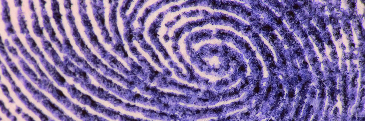 How Does Traceability Advance Sustainability in Global Supply Chains ...