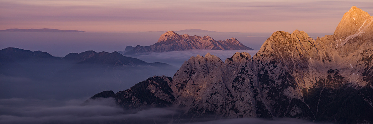 A ‘Net Positive’ Future Is Within Reach: Introducing the Net Positive ...