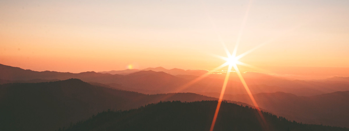 Transform to Net Zero: What Makes an Effective Climate Transition ...