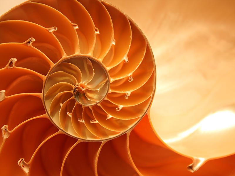 Back to the Basics: The Power of Core Values | Blog | Sustainable ...