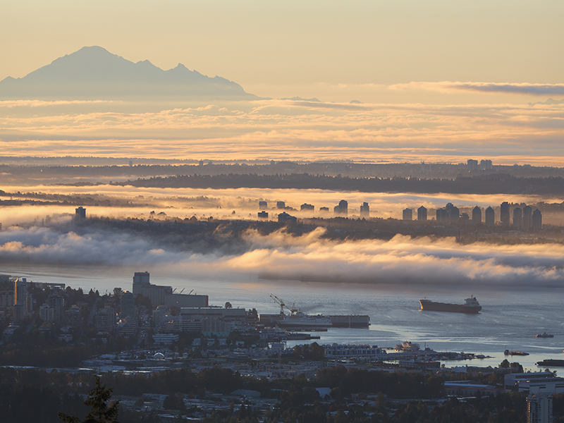 Collaborative Progress: Clean Cargo Working Group 2016 Progress Report ...