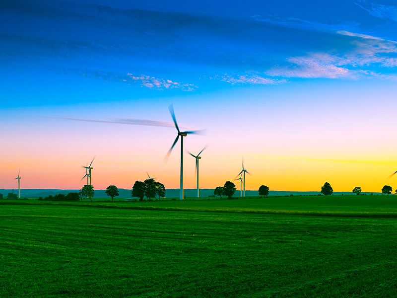 Transform to Net Zero | Collaborations | Sustainable Business Network ... Transform to Net Zero | Collaborations | Sustainable Business Network ...