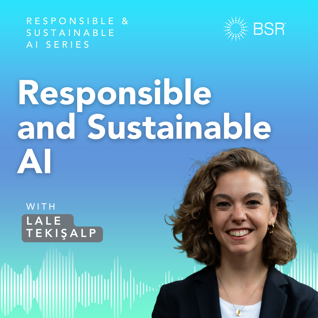 BSR Podcast Series | Sustainable Business Network and Consultancy | BSR