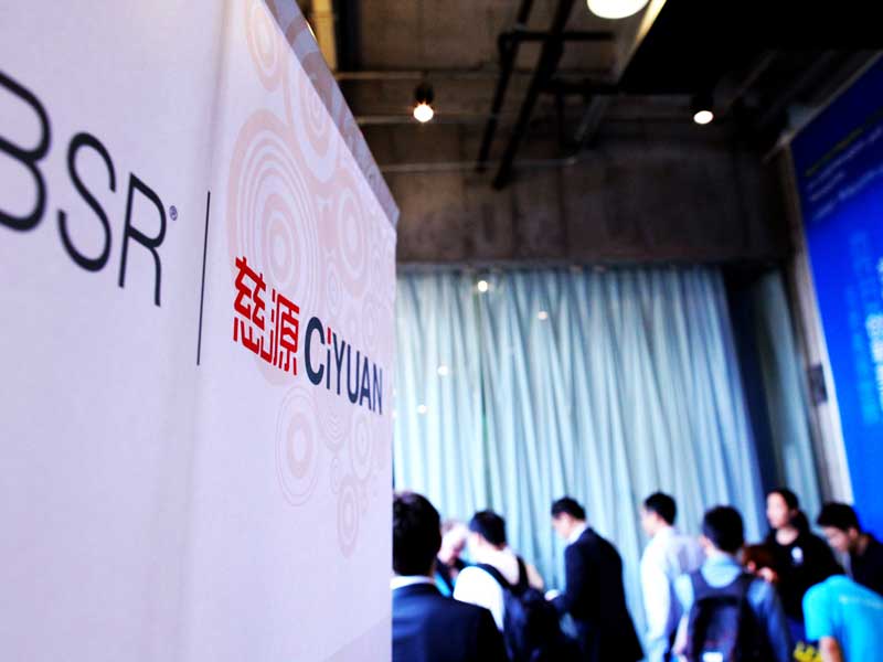 Three Lessons from BSR’s CiYuan Initiative: Building Corporate-NGO ...